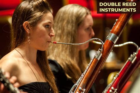 double reed instruments phamox music