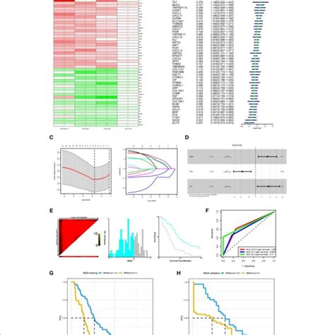 Development And Validation Of The Metastasis Evaluation Model Mem Download Scientific