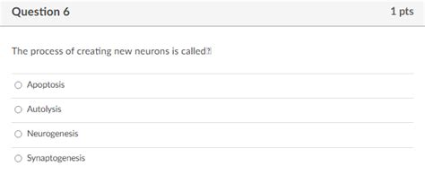 Solved Question 6the Process Of Creating New Neurons Is