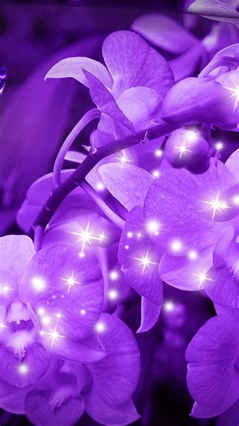 100 Purple Flower Wallpapers