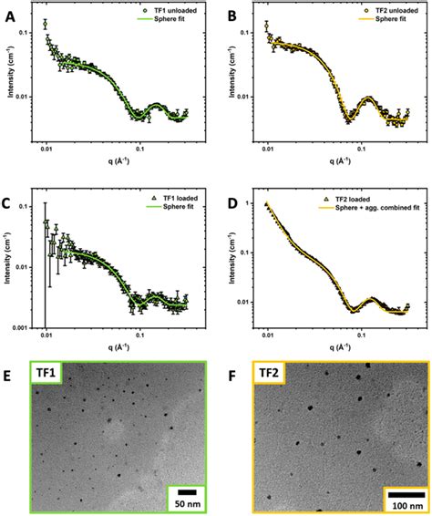 Amphiphilic Oligo2 Ethyl 2 Oxazolines Via Straightforward Synthesis
