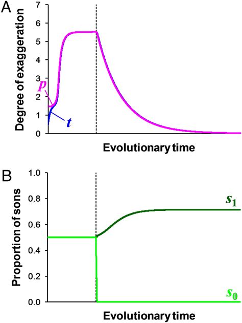 Sex Ratio Control Erodes Sexual Selection Revealing Evolutionary Feedback From Adaptive