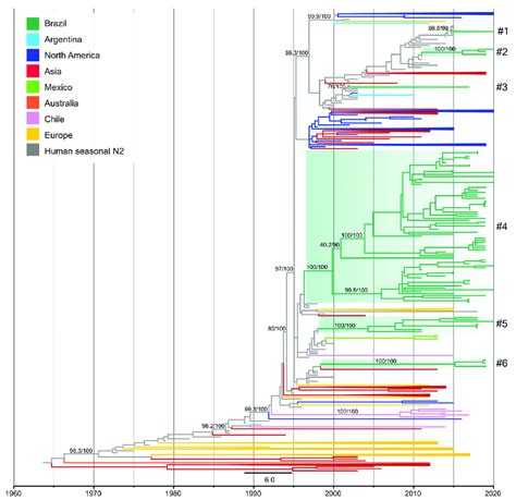 Time Scaled Phylogeny Demonstrating Time Of Spillover Of Human Seasonal
