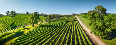 Logic Model Planning Process Nifa