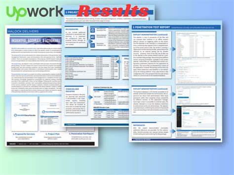 A Professional Penetration Testing And Vulnerability Assessment Report