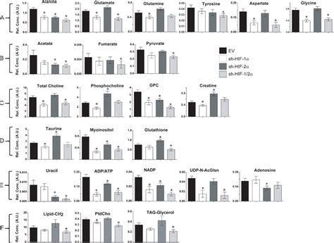 Bar Plots Of Significantly Different Concentrations In Arbitrary Units Download Scientific