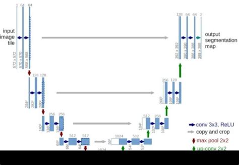 Unet Architecture 13 Download Scientific Diagram