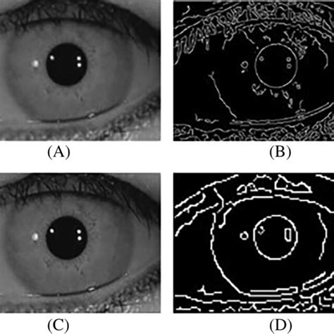Flowchart Of Daugmans Algorithm Download Scientific Diagram
