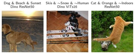 Images Retrieved Based On Similarity Of Their Representation To Download Scientific Diagram