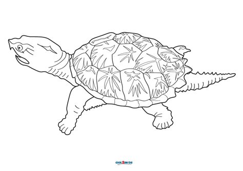 Turtle Snapping Coloring Page Snapping Turtle Snapping