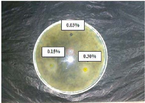 Antifungal Activity Of Orange Extract On The Growth Of Aspergillus Flavus Download Scientific