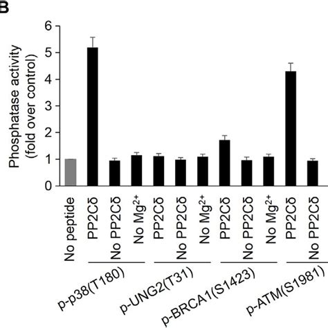 Pp2c Negatively Regulates Basal And Uv Damage Induced Atm Download