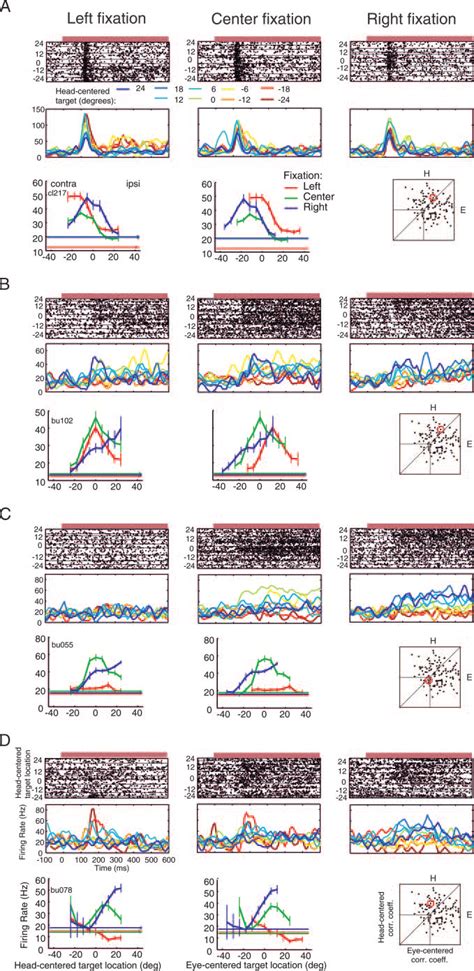 examples of neurons with visual receptive fields that show complex