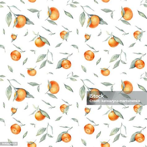 원활한 수채화 감귤류 과일과 잎 패턴 흰색 배경에 녹색 잎과 오렌지 과일 원활한 만다린과 오렌지 수채화 일러스트레이션 감귤에 대한 스톡 벡터 아트 및 기타 이미지 Istock