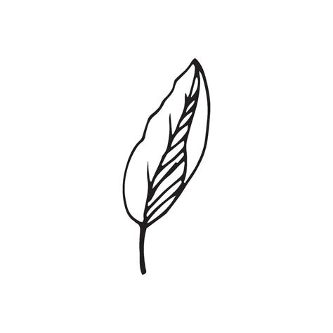 Cute Single Hand Drawn Floral Elements Doodle Illustration For Wedding