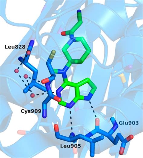 structure of jak3 in complex with 22 pdb id 3lxk 195 key h bond