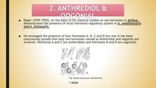 Sex Hormones In Fungi NEW Pptx