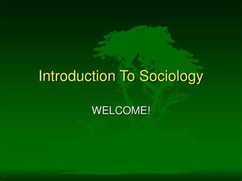 PPT - Introduction To Sociology PowerPoint Presentation, free download - ID:382217