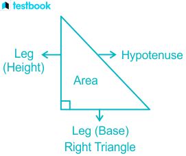 Hypotenuse Of A Triangle Covers Definition Theorem Formula Proof Steps Solved Examples And