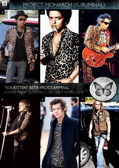 Sex Kitten Beta Programming Artofit Sex Kitten Beta Programming Artofit