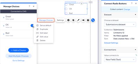Cms Setting Up The Radio Buttons Input Element Help Center Wix Com