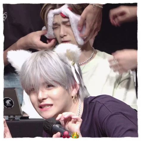 타코야퀸👑 On Twitter 한프레임에 고양이가 둘 Ywxsdlt0ml Twitter