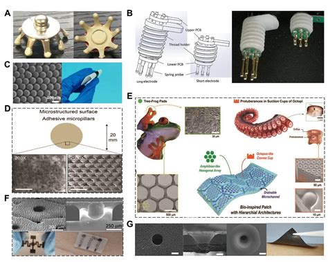 Development Of Soft Dry Electrodes From Materials To Structure Design