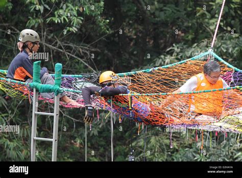 Human Nest Experience In Borneo Rhythm Of Rimba Wildlife Festival 2015