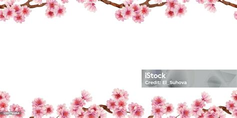 흰색 배경에 고립 된 벚꽃 꽃이 있는 분기 봄에 피는 벚꽃은 하나미 축제를 위해 꽃을 피웁니다 원활한 테두리 카드 포스터 섬유 직물 웹에 대한 수채화 템플릿 0명에 대한