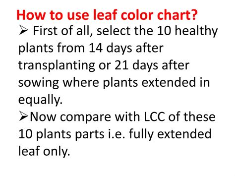 Leaf Color Chart Lcc Pptx