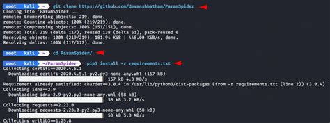 paramspider vulnerable xss idor ssrf parameter finder secnhack