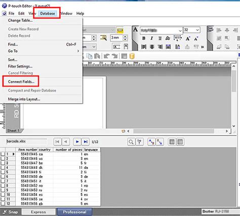 How To Create A Barcode From Two Data Fields P Touch Editor 5 X For Windows