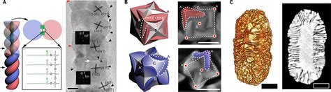 Chiral Inorganic Nanomaterials For Biomedical Applications Chem