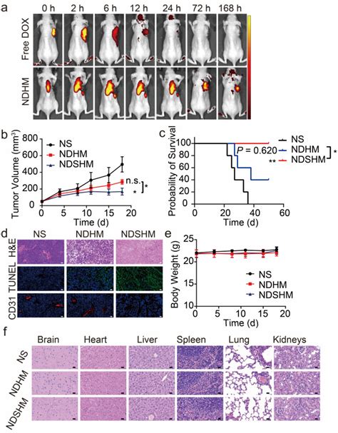 Application Of Mmp 2 Responsive In Situ Forming Injectable Hydrogel In Preventing The Recurrence