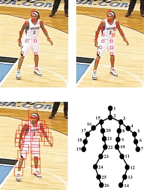 Model Training Based On Basketball Player Images Download Scientific Diagram