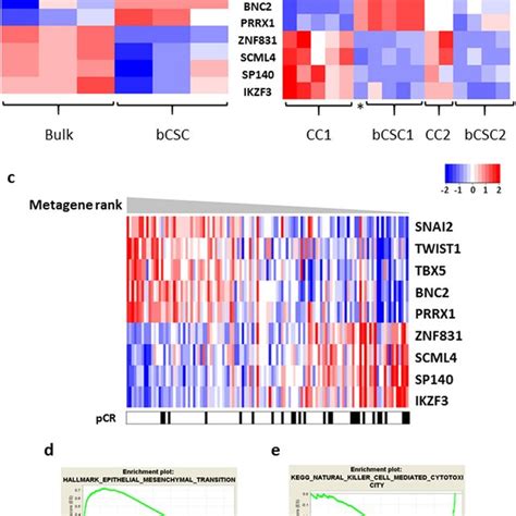 Transcription Factor Modules A Graphical Representation Of The Download Scientific Diagram