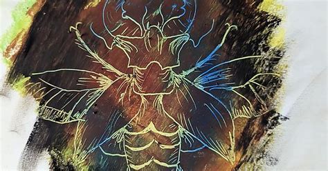 Sgrafitto Scratch Example For My 7 8th Grade Art Students Album On Imgur