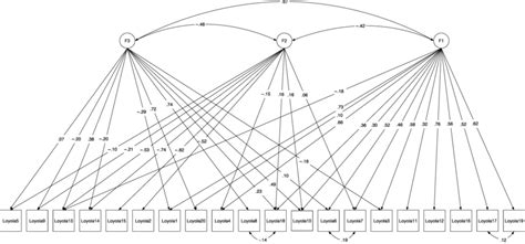 Final Well Fitting Item Level Model Of The Full Loyola Generativity