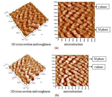 Surface Roughness And Microstructure For The Sample Without Cold