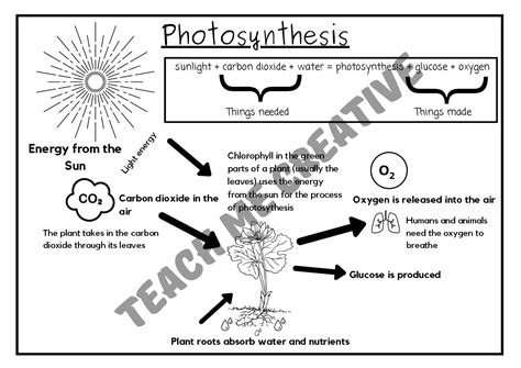 Engaging Science Worksheets For Grade 6 Interactive Learning Resources