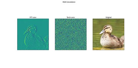Unable To Apply A Basic Filter Using Functional Conv2d Vision