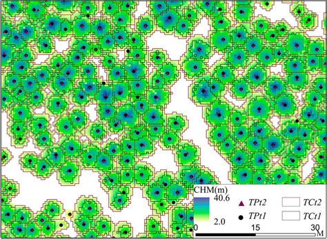 an example of tree crown segmentation results and the corresponding