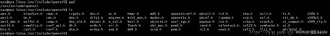 linux下部署Django uwsgi error while loading shared libraries libpcre so libssl so libpython