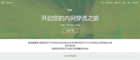 java本地的项目，怎么可以让别人通过外网访问 内网穿透 自己的java项目别人如何访问 csdn博客