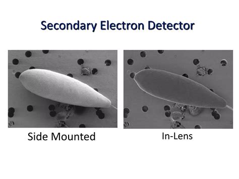 Scanning Electron Microscopy Sem 2013 Pptx