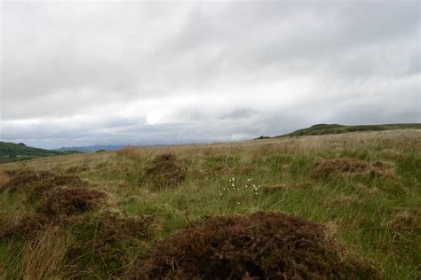 Integrating Ecosystem Services Into Environmental Decision Making The