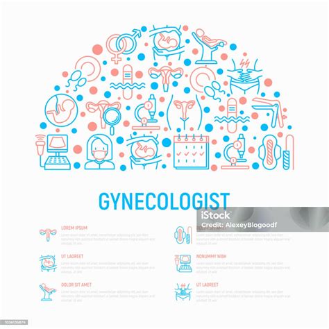 얇은 선 아이콘으로 30 원에 산부인과 개념 자 궁 난소 부인과 자 임신 초음파 생리대 배아 생리 벡터 일러스트 레이 션 웹 페이지 서식 파일 개념에 대한 스톡 벡터 아트