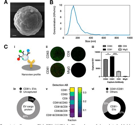 Figure 4 From Ultrasensitive Single Extracellular Vesicle Detection Using High Throughput