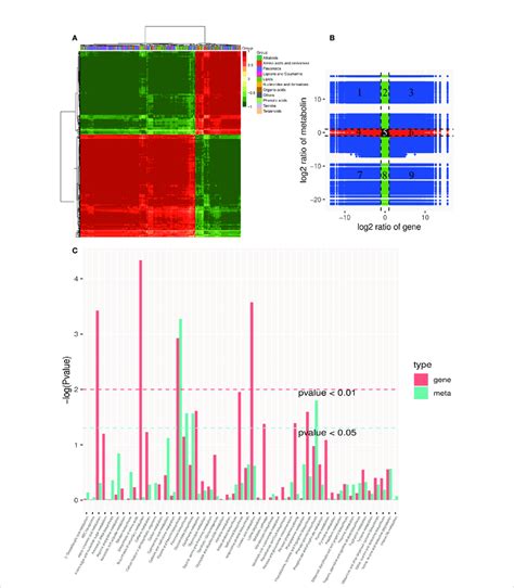 Combined Analysis Of The Transcriptome And Metabolome A Cluster