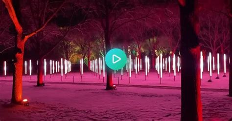 Inspiration From Chicago Botanic Garden Lightscape Every Year There